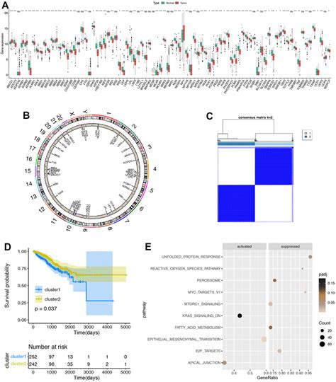Identification And Validation Of Obesity Related Genes Signature Based