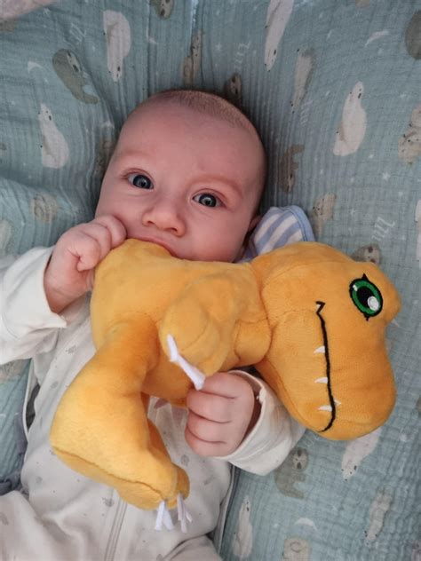 My Son Uh Playing With His First Digimon Partner R Digimon
