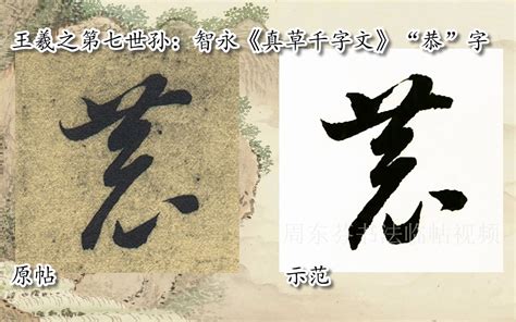 每日一字书法视频周东芬临隋智永真草千字文同字 bilibili B站 无水印视频解析YIUIOS易柚斯