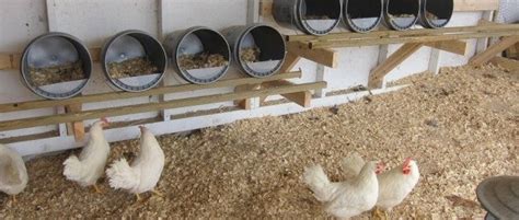 Re Purposing Buckets Into Chicken Nesting Boxes