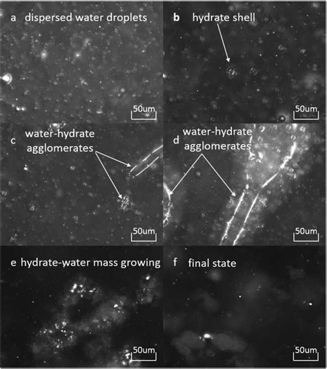Hydrate Formation And Agglomeration Process Recorded By The Pvm Probe Download Scientific