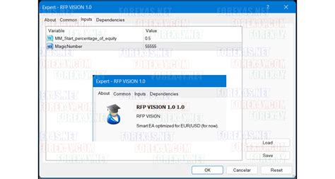RFP VISION V1 0 Source Code MQ4