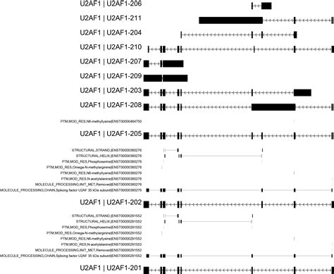 Command Line Usage Trackplot