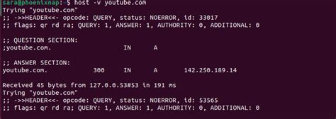 Linux Host Command With Examples PhoenixNAP KB