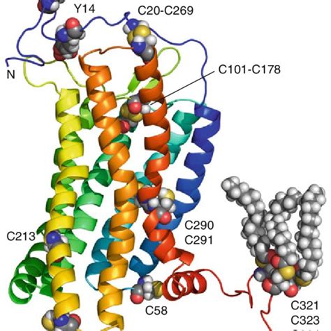 Pdf Biophysical And Structural Investigation Of Bacterially Expressed