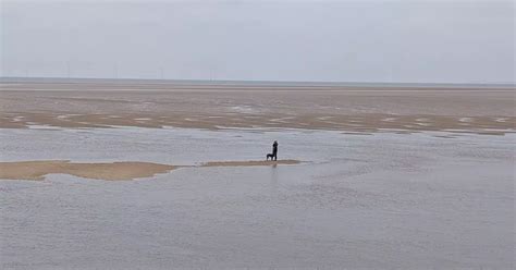 Woman And Dog Stranded As Neck Deep Water Surrounded Them Liverpool