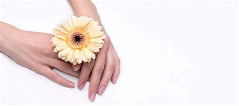 여름 시간에 밝은 대조 화장과 그녀의 손에 꽃 패션 아트 손 여자 창조적인 아름다움 사진 손 여자 배경 대조에 테이블에 앉아