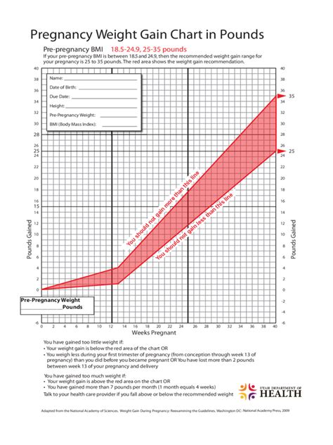 Pregnancy Weight Gain Chart 11 Free Templates In Pdf Word Excel