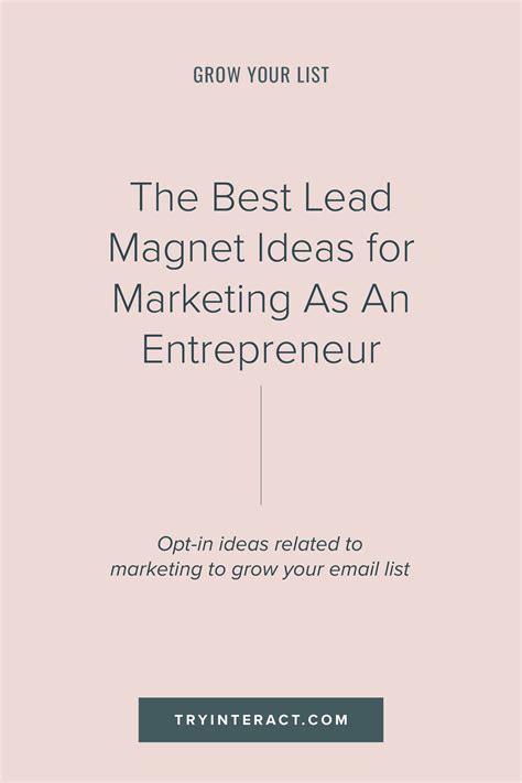 The Best Lead Magnet Ideas For Marketing As An Entrepreneur