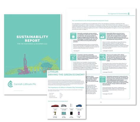Cornelia Grant On Linkedin Sustainabilityreport