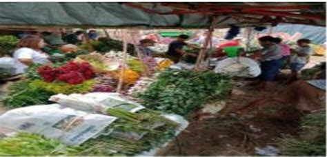 လက်ပံတန်းမြို့မဈေးအတွင်းရှိ ပန်းရောင်းချမှုအခြေအနေများ Consumer