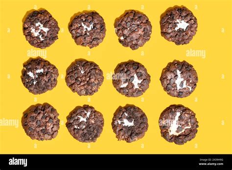 Fresh Home Made New York Style Oreo Cookies Lined Up On And