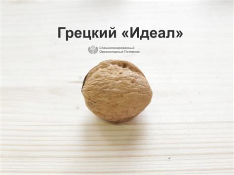 Саженцы грецкого ореха