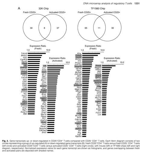 Journey To Tocky Via Cca Masahiro Ono