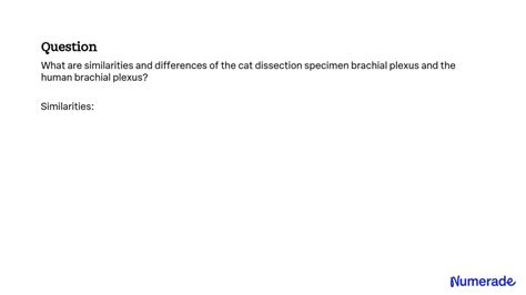 Solved What Are Similarities And Differences Of The Cat Dissection