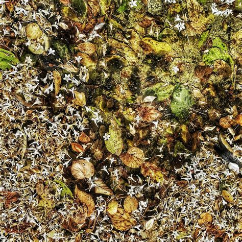 Fall Photograph By Rafa Rivas Fine Art America