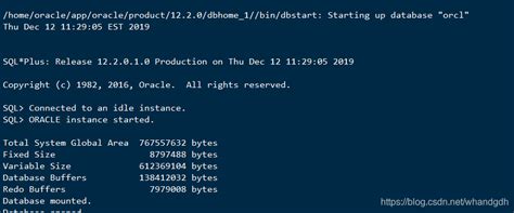 Linux 下设置oracle开机自动启动linux下oracle开机自启动 Csdn博客