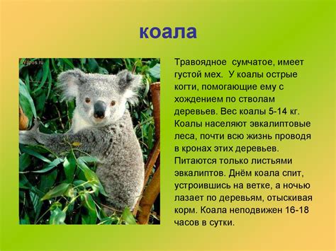 Животный мир Австралии презентация онлайн