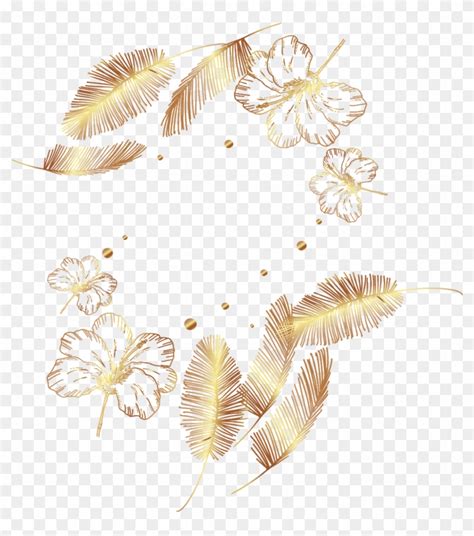 Frame Border Divider Feathers Feather Filigree Vector Graphics