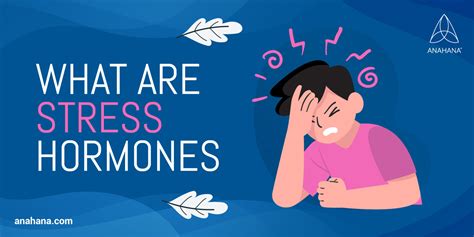 Stress Hormones Names Definition Symptoms Cortisol Adrenaline