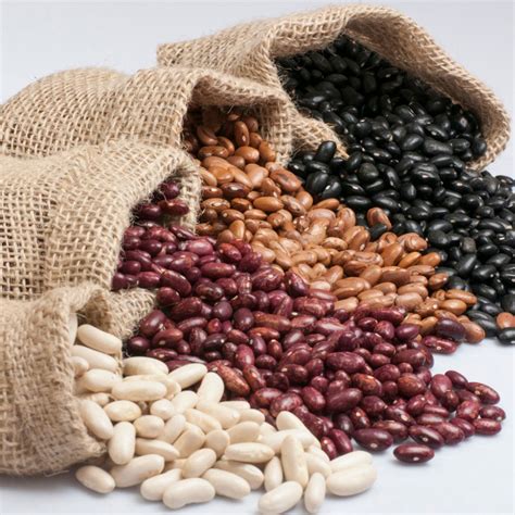 12 Prebiotic Soda Benefits From A Dietitian Caroline Thomason Bunn