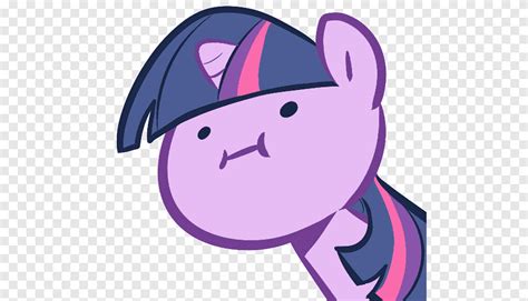 Twilight Sparkle Rainbow Dash Rarity Pinkie Pie Princess Celestia My