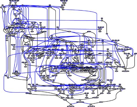 a graphical representation of the signaling networks generated with