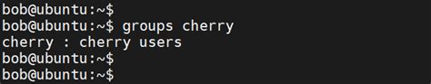 How To Add A User To Sudoers In Ubuntu Step By Step Cherry Servers