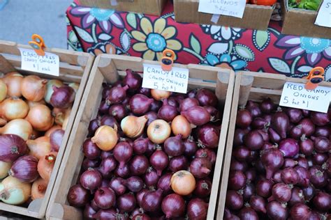 Fayetteville Fayetteville Arkansas Farmers Market