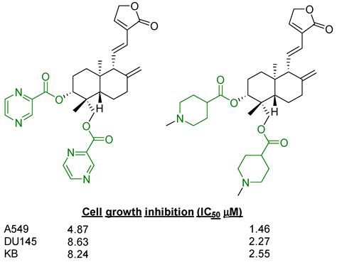 Synthetic Modifications Of Andrographolide Targeting New Potential Anticancer Drug Candidates A