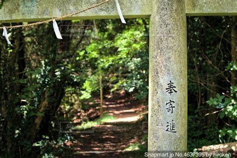 森の中の鳥居の写真画像素材 4637395 Snapmartスナップマート