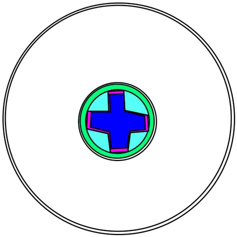 Root Tissues Diagram Quizlet Root Tissues Diagram Quizlet