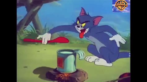 توم وجيري توم يريد أن يأكل البش الصغير Youtube