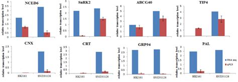 Qrt Pcr Validation Of Rna Seq Data Of 8 Differentially Expressed Genes Download Scientific