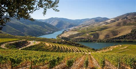 Quinta De Ventozelo Porto Cruz
