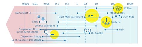 Sauberair Flat