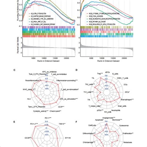 Venn Diagrams Of Different Gene Sets Venn Diagrams Show The Crossed