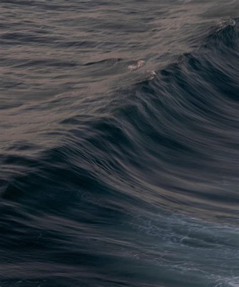 Тэвчихийн аргагүй хөнгөн оршихуй Хүн болгонд л өөрийг нь анхаарч харах хэн нэгэн хэрэгтэй