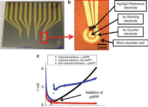 A Silicon Based Microchip Comprises Four Differentially Sized