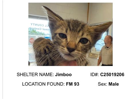 Bell County Texas Bell County Texas Animal Shelter