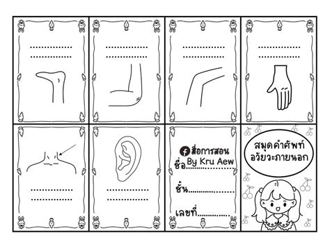 📢📢 สมุดคำศัพท์อวัยวะภายนอก📝 สื่อการสอน By Kru Aew