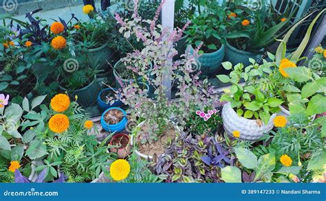 A Very Small Pepperoni Pizza On A Plate Royalty Free Stock Image