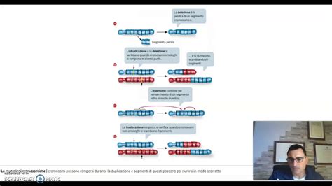 Duplicazione Di Mutazioni Cromosomiche