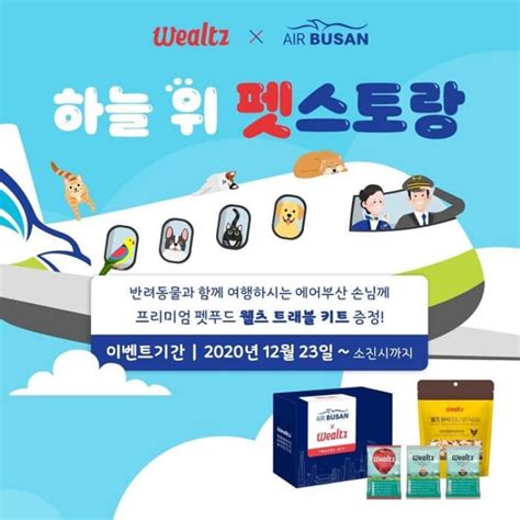 에어부산 반려동물 동반 승객에게 펫 푸드 제공 하늘 위의 펫스토랑 이벤트 실시