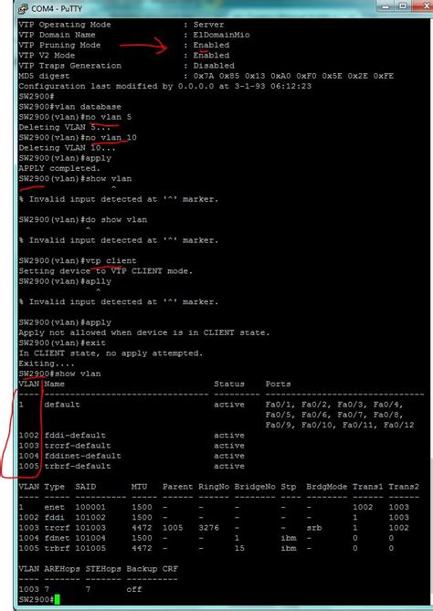 Trunk Lab With Real Cisco Switch Cisco Labs Ccna
