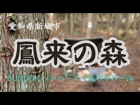 愛知県新城市鳳来の森ソロキャンパー注目のキャンプ場あのヒロシさんも来られた森です YouTube