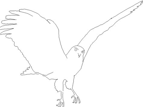 Eagle In Autocad Download Cad Free 35 68 Kb Bibliocad