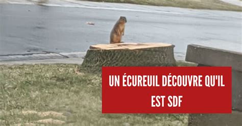 photos qui ont une histoire à vous raconter