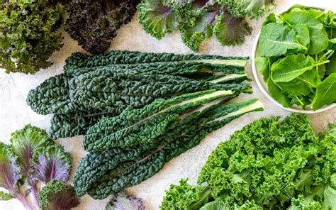 Cải Kale Là Gì Ăn Cải Kale MỘc ChÂu Có Tác Dụng Gì Đặc Sản Mộc Châu
