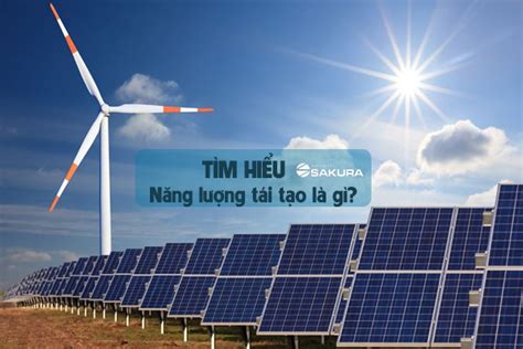 Năng lượng tái tạo Ưu nhược điểm và các dạng năng lượng tái tạo phổ biến